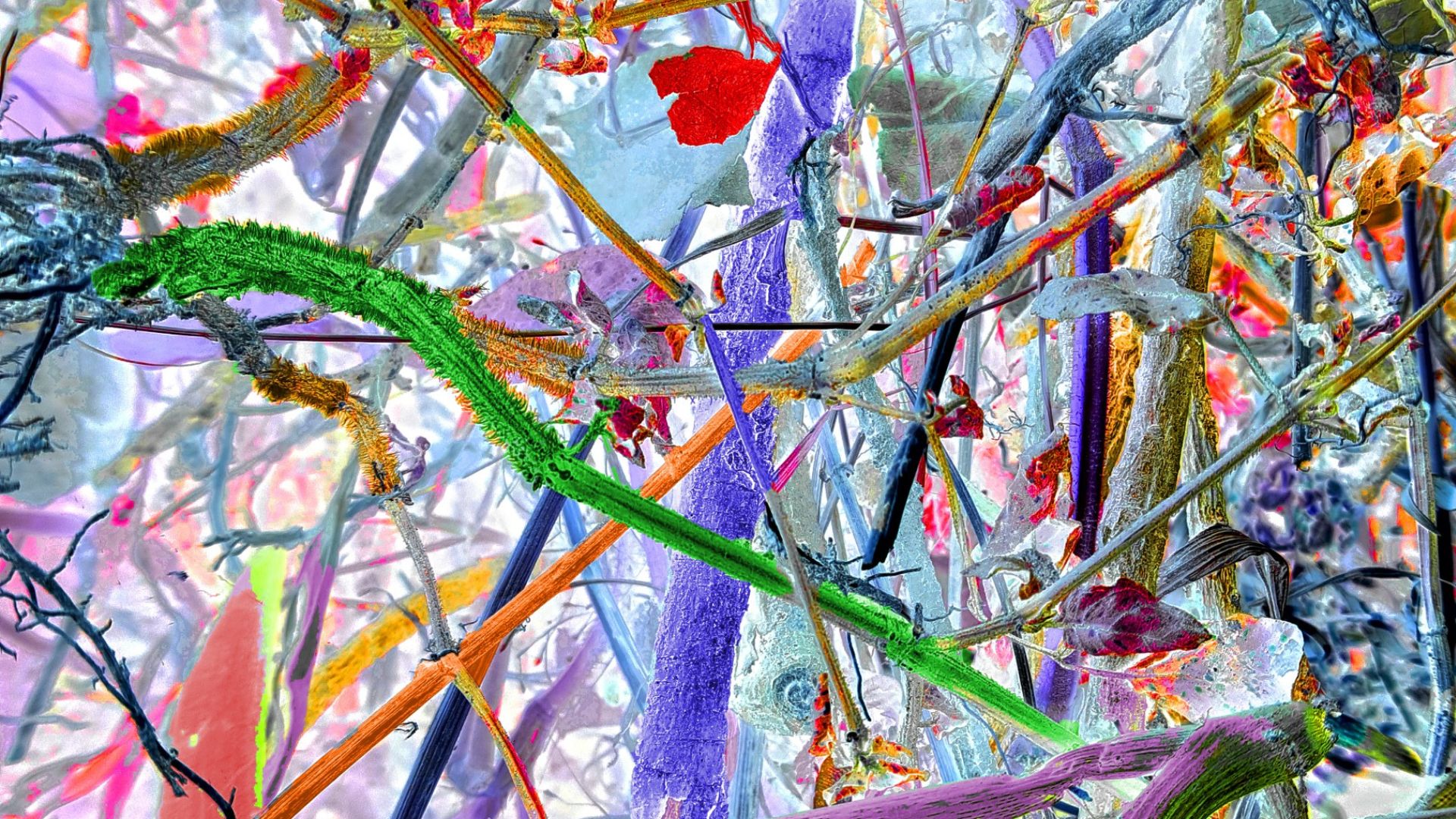 Exhibition: The Way – A Journey in the Exploration of Self - Strauss & Co